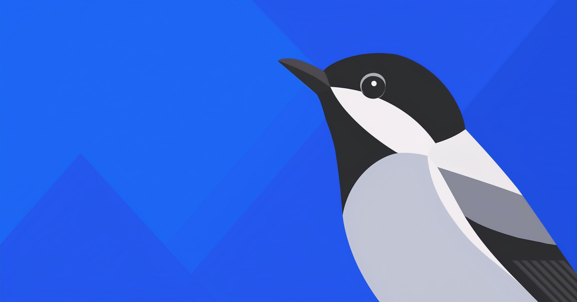 Twitter ohne Account nutzen – Alternative zu Nitter (2025)